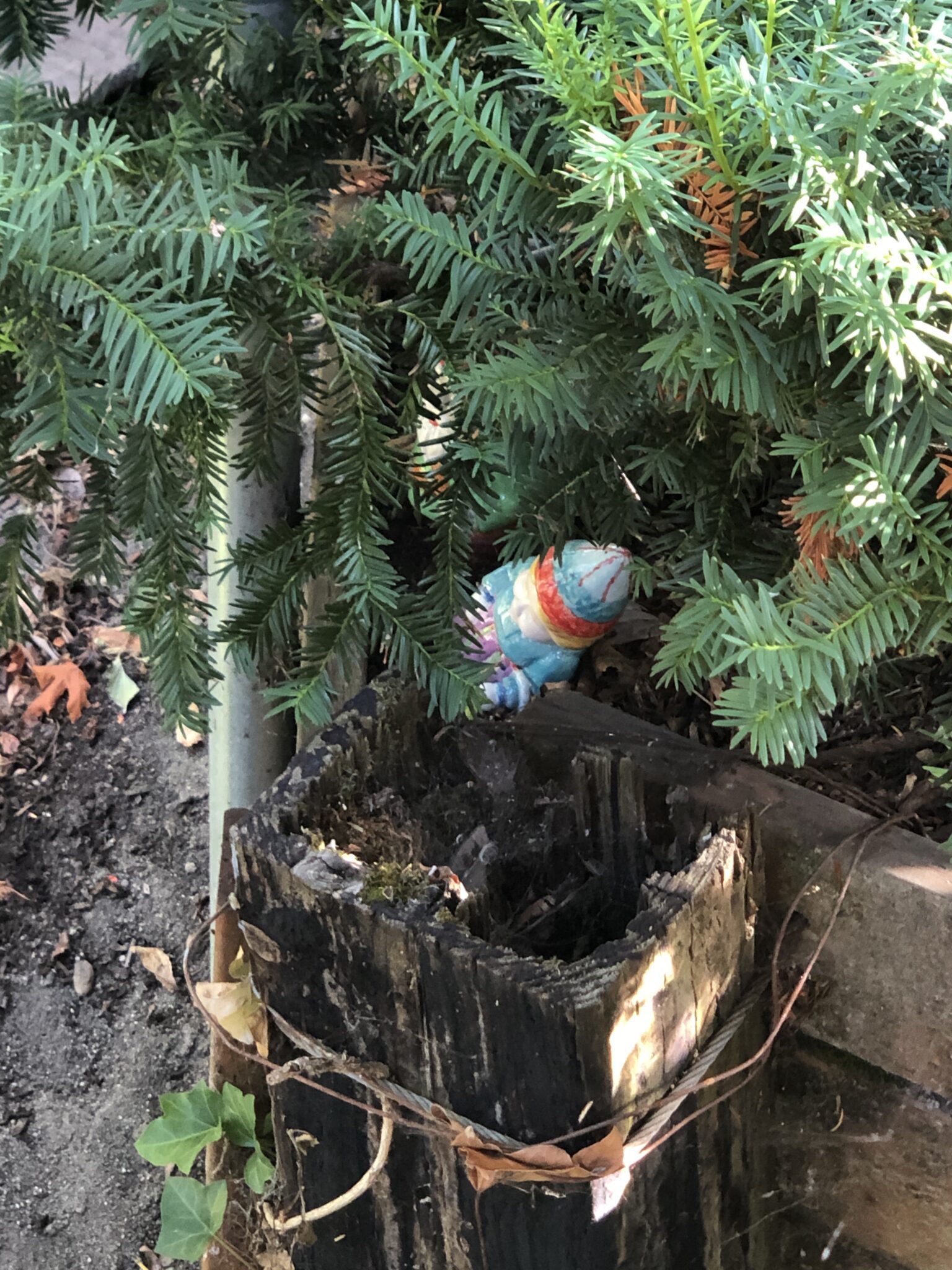 Valley of the Gnomes - Seattle Secrets