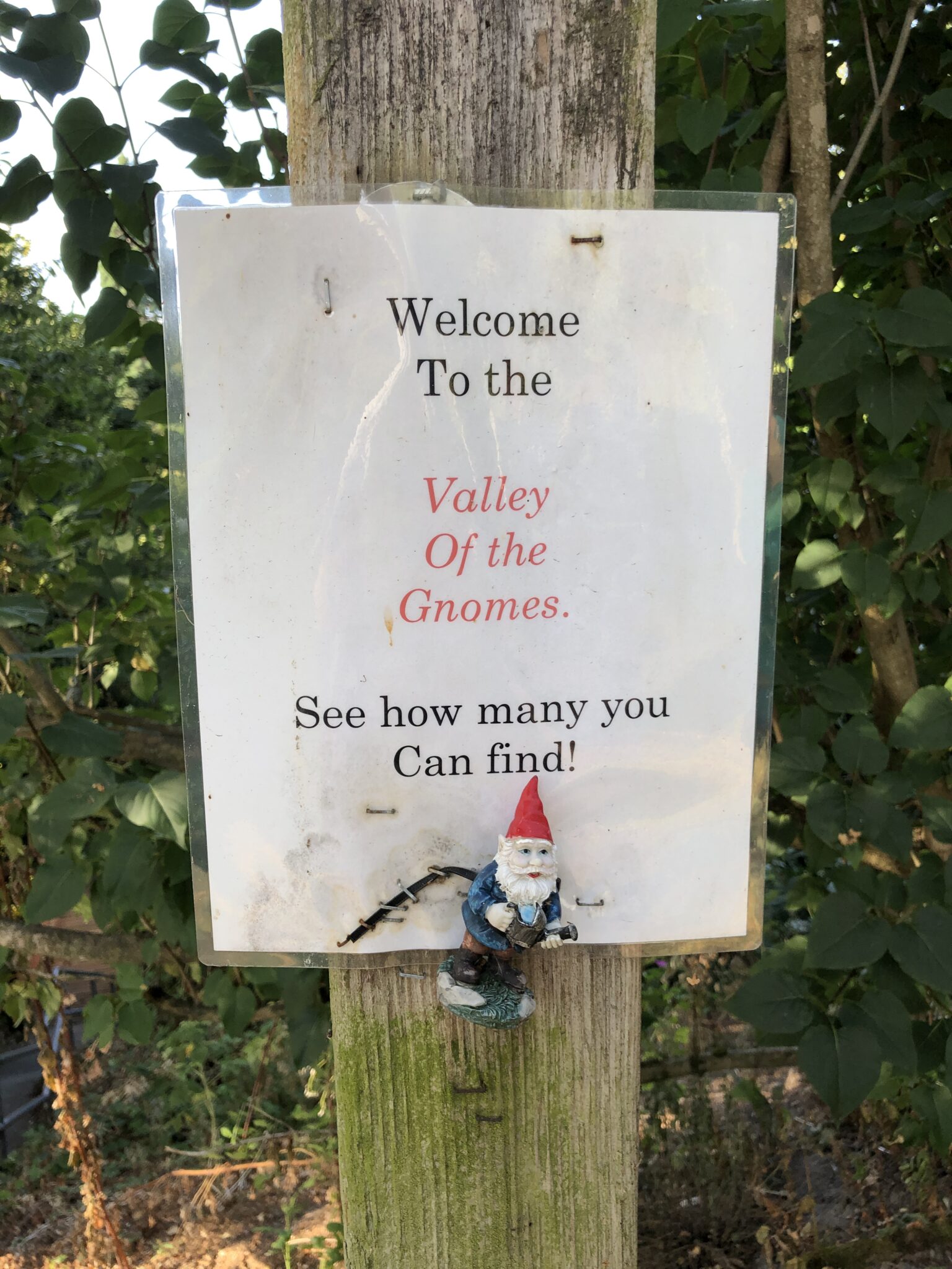 Valley of the Gnomes - Seattle Secrets